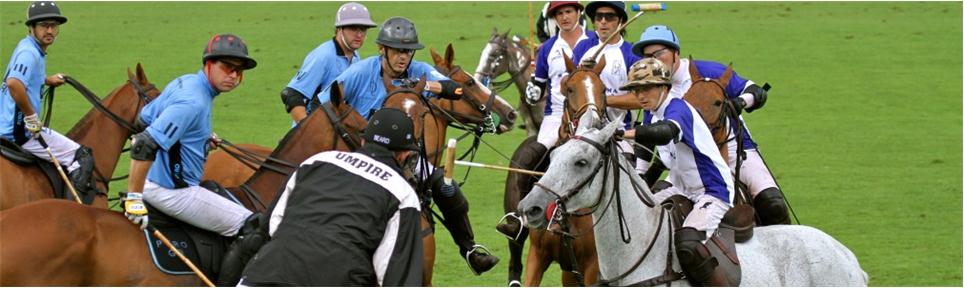 Polo Club London, Polo Club Greater London